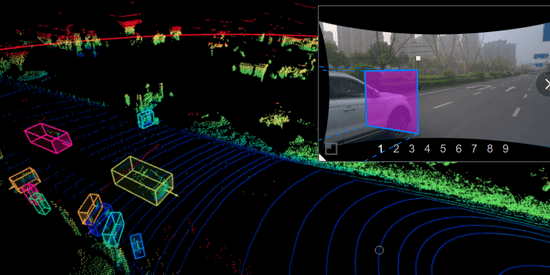 Data Annotation Service | Stardust AI